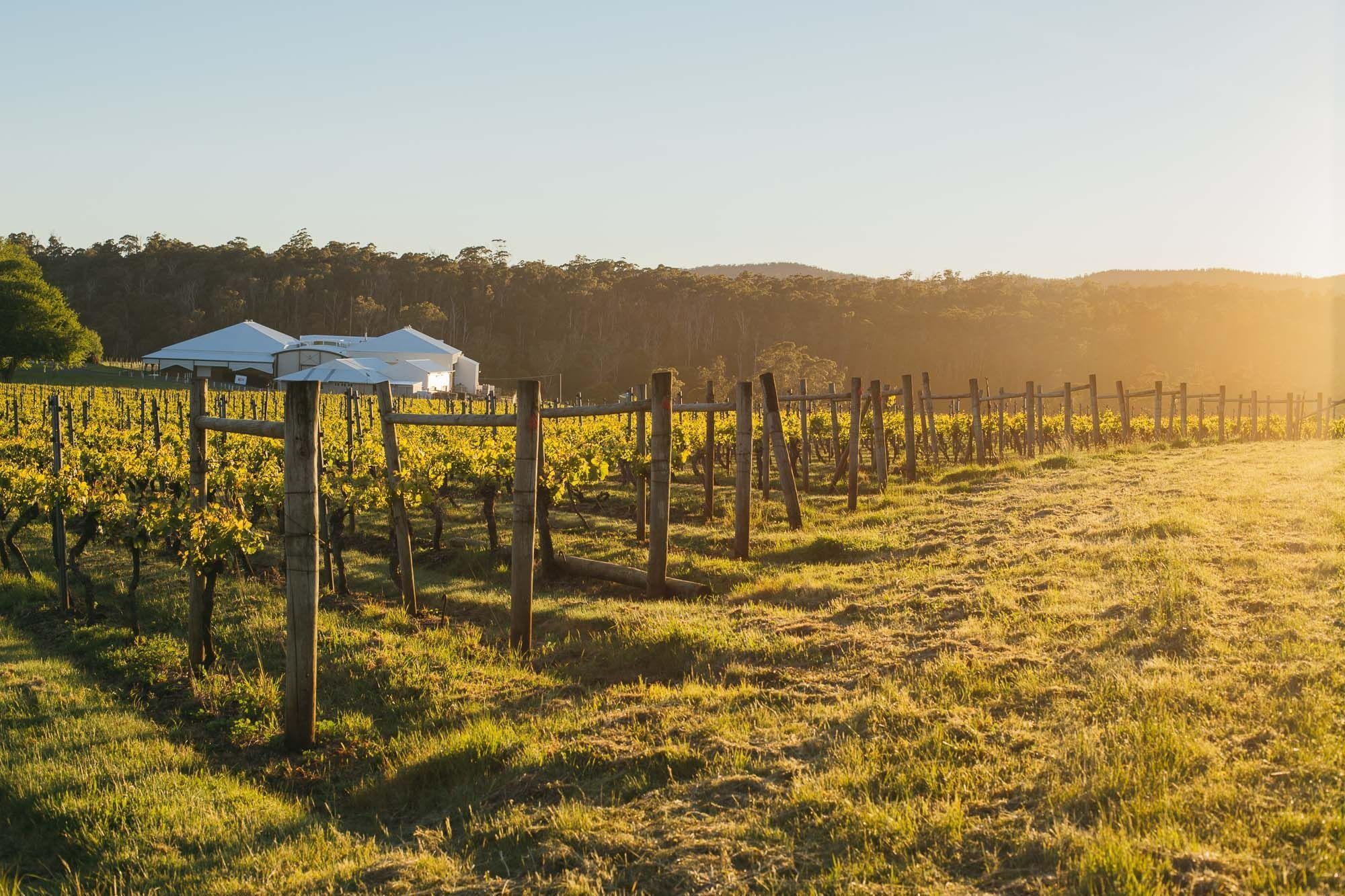 House of Arras - Signature Experiences of Australia